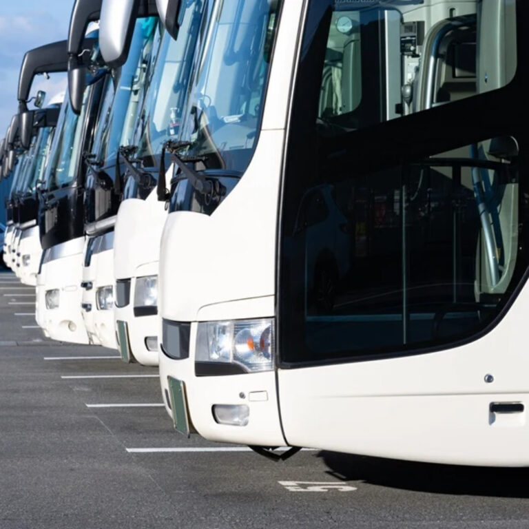 What Types of Mini Buses Are There?